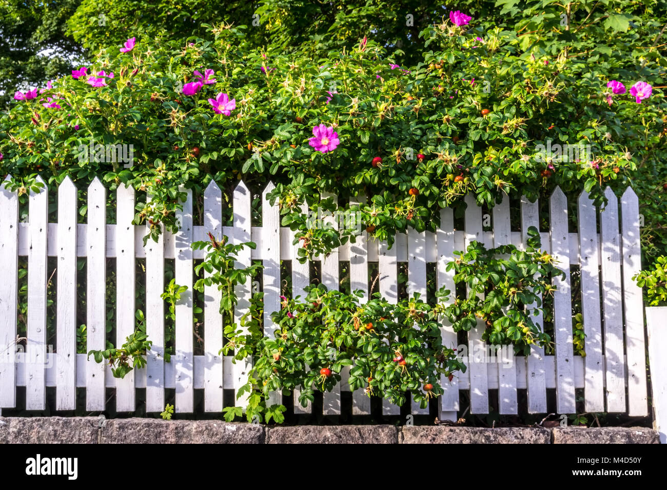 Living in our house hi-res stock photography and images - Alamy