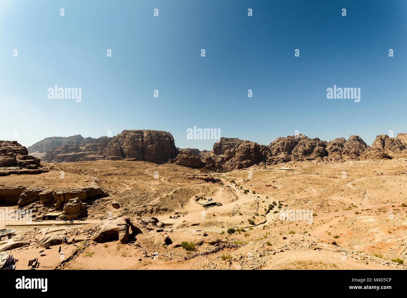 Desert life in Jordan Stock Photo - Alamy