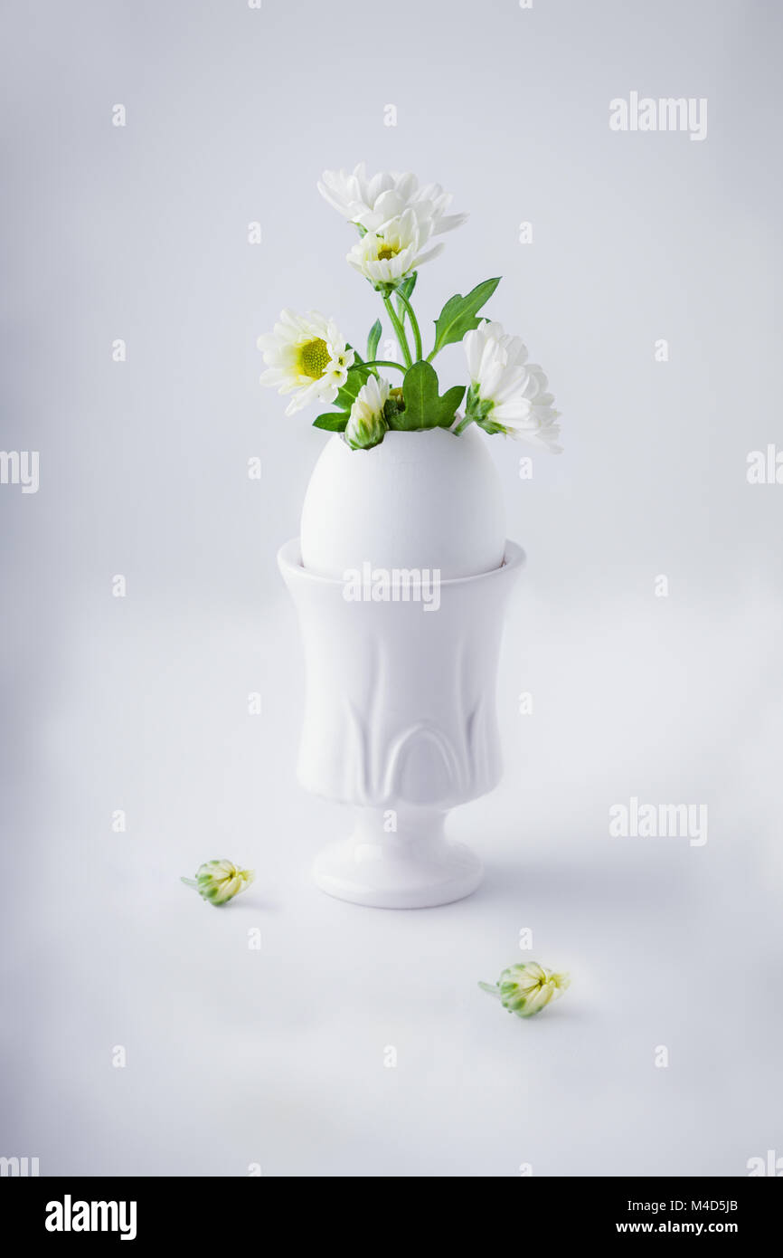 Bunch of white chrysanthemum flowers growing from egg shell Stock Photo ...