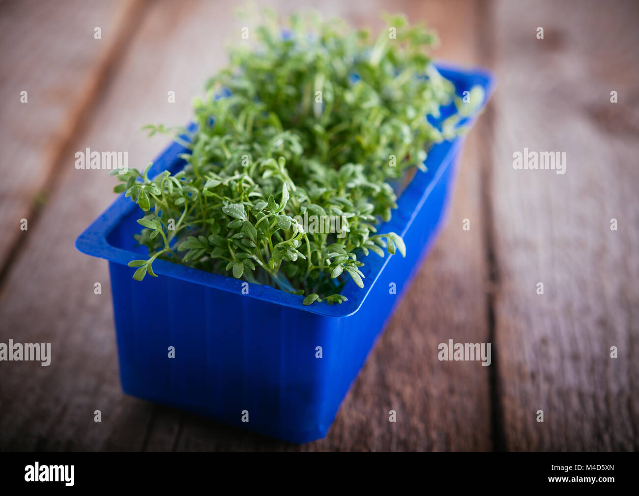 Edible watercress hi-res stock photography and images - Alamy