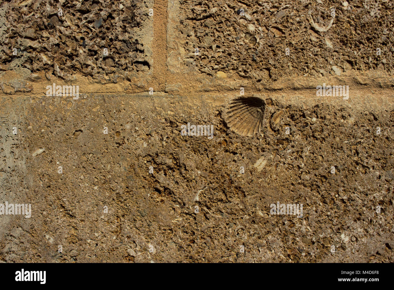 Wall. Traditional wall of Cádiz from seashells and sand Stock Photo - Alamy