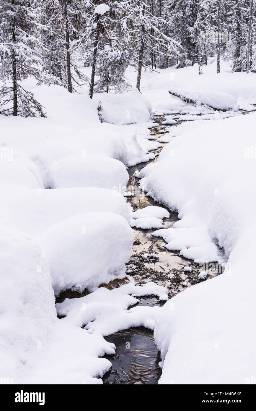 Finland state forest hi-res stock photography and images - Alamy