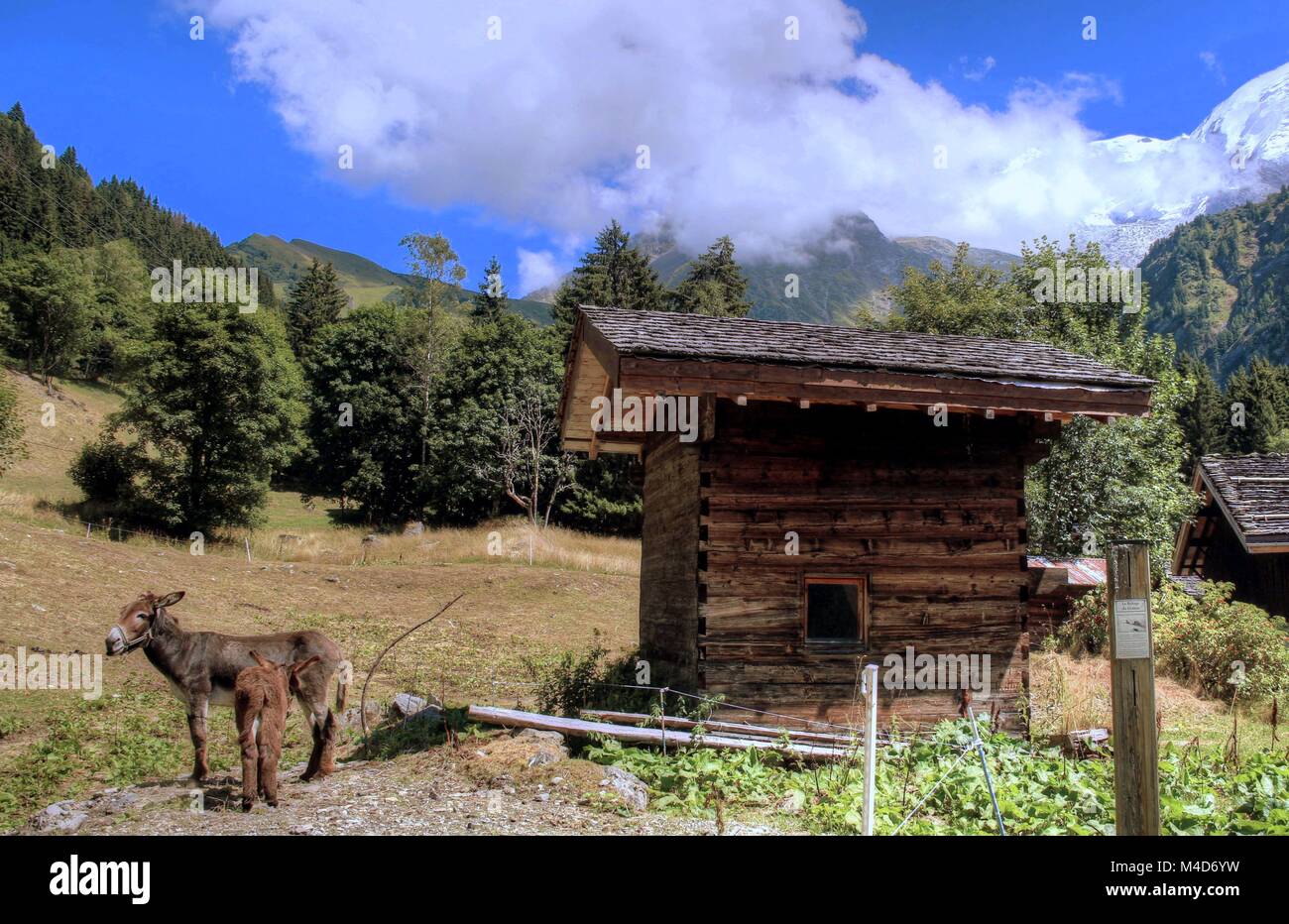 Rural french architecture hi-res stock photography and images - Alamy