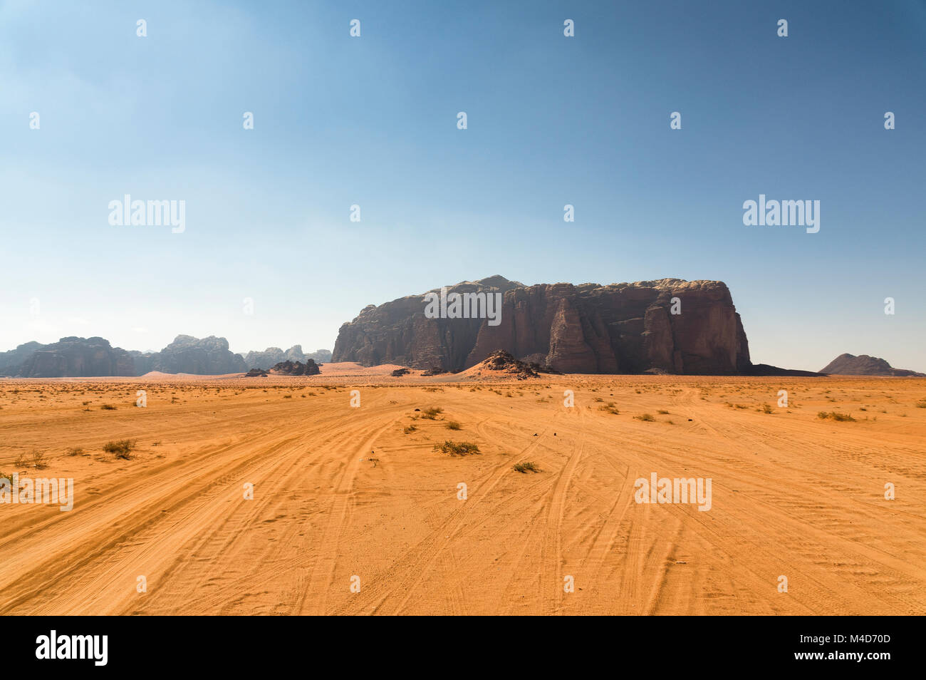Desert life in Jordan Stock Photo - Alamy