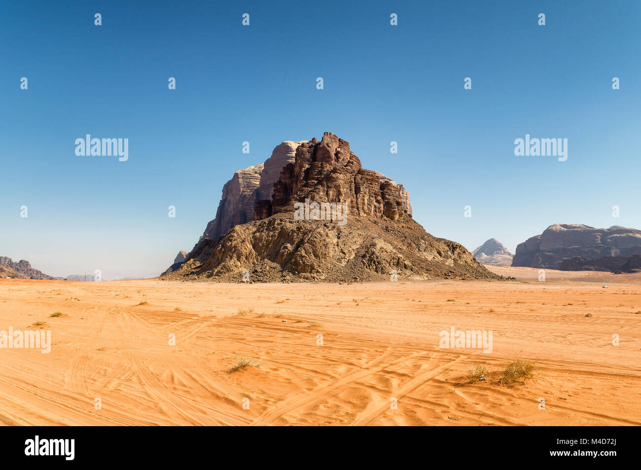Desert life in Jordan Stock Photo - Alamy