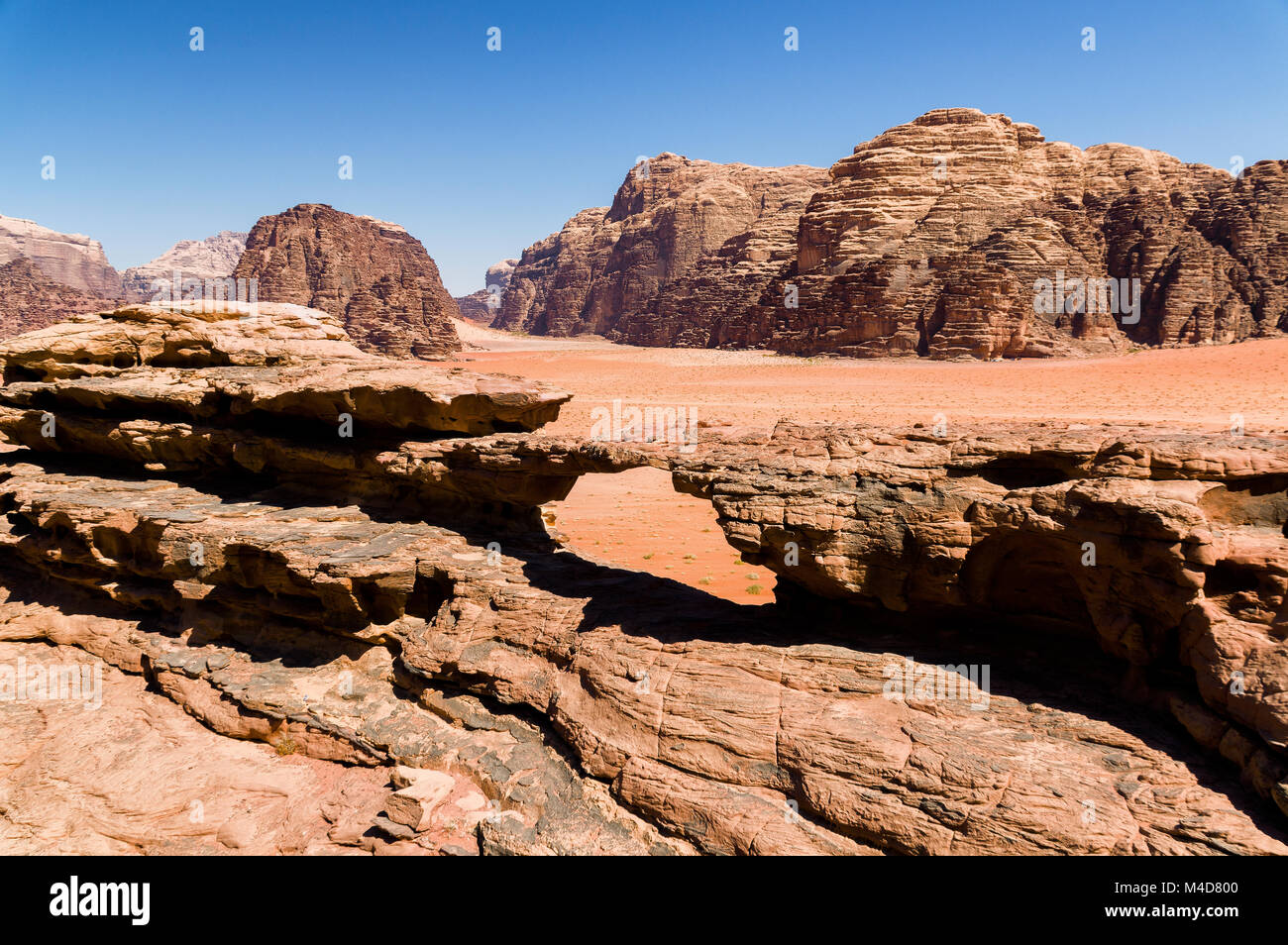 Desert life in Jordan Stock Photo - Alamy