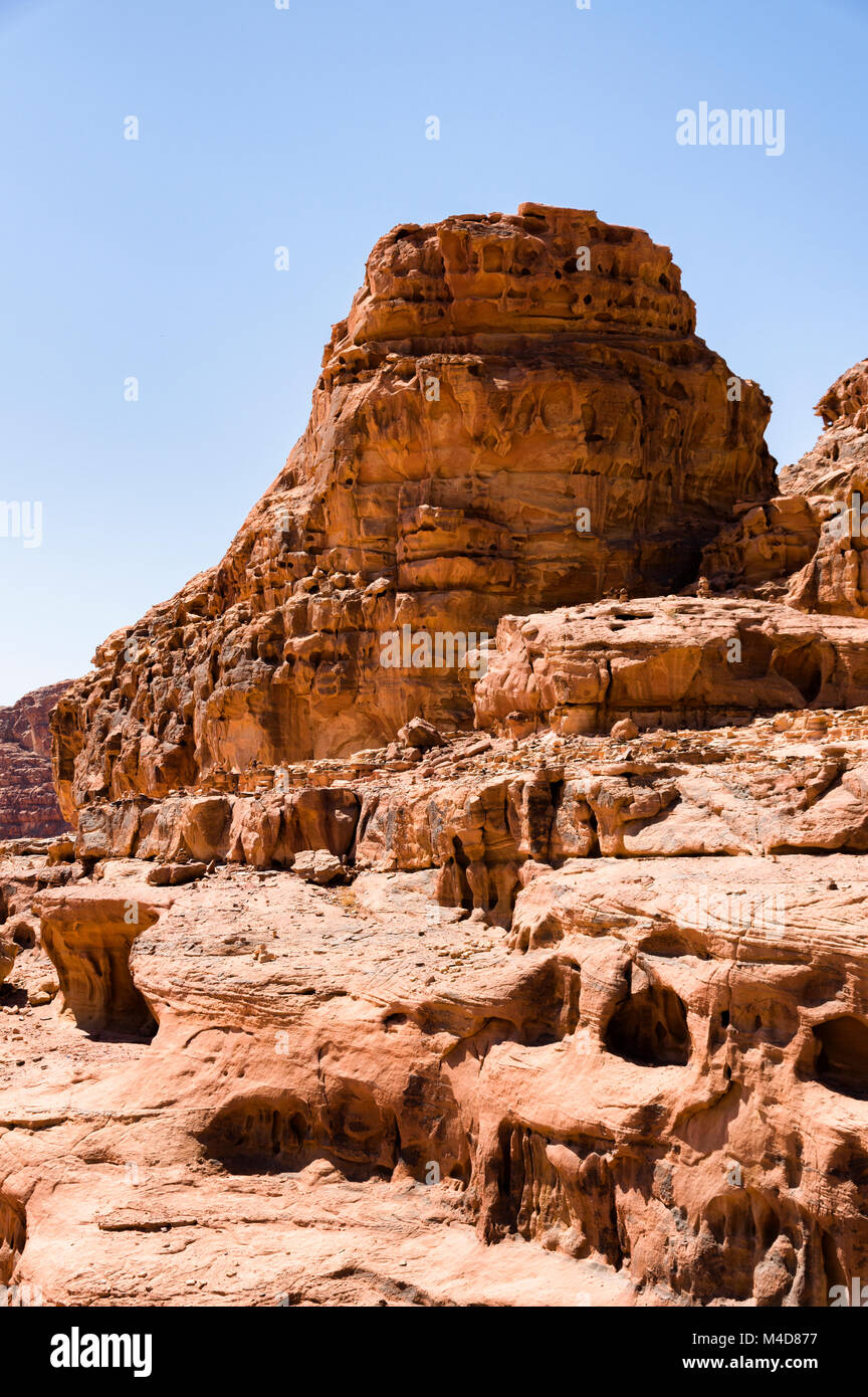 Desert life in Jordan Stock Photo - Alamy