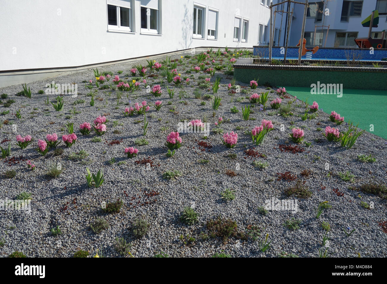 Crushed flowers hi-res stock photography and images - Alamy