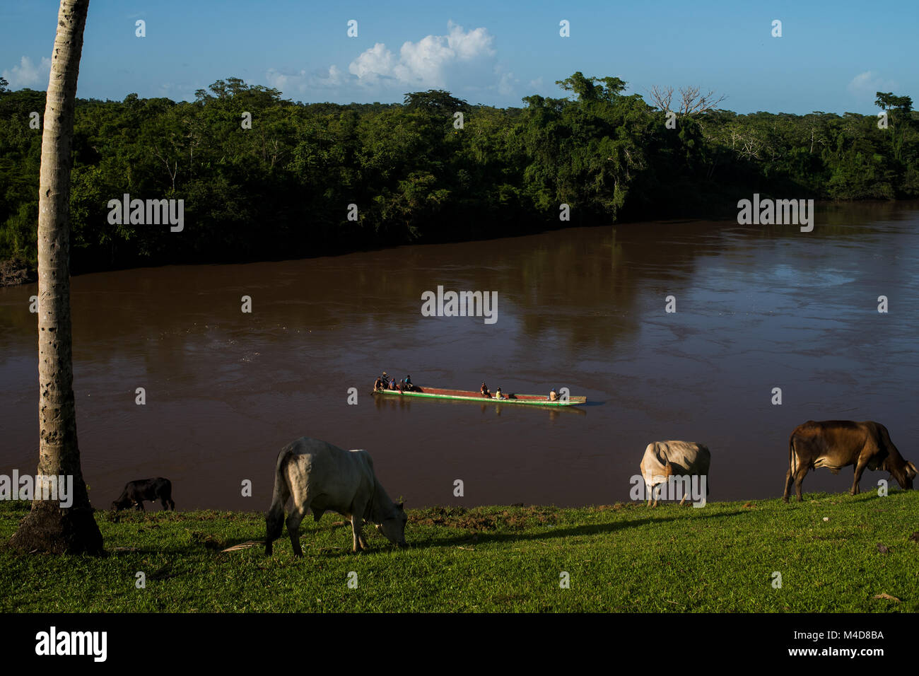 Miskito nicaragua hi-res stock photography and images - Alamy