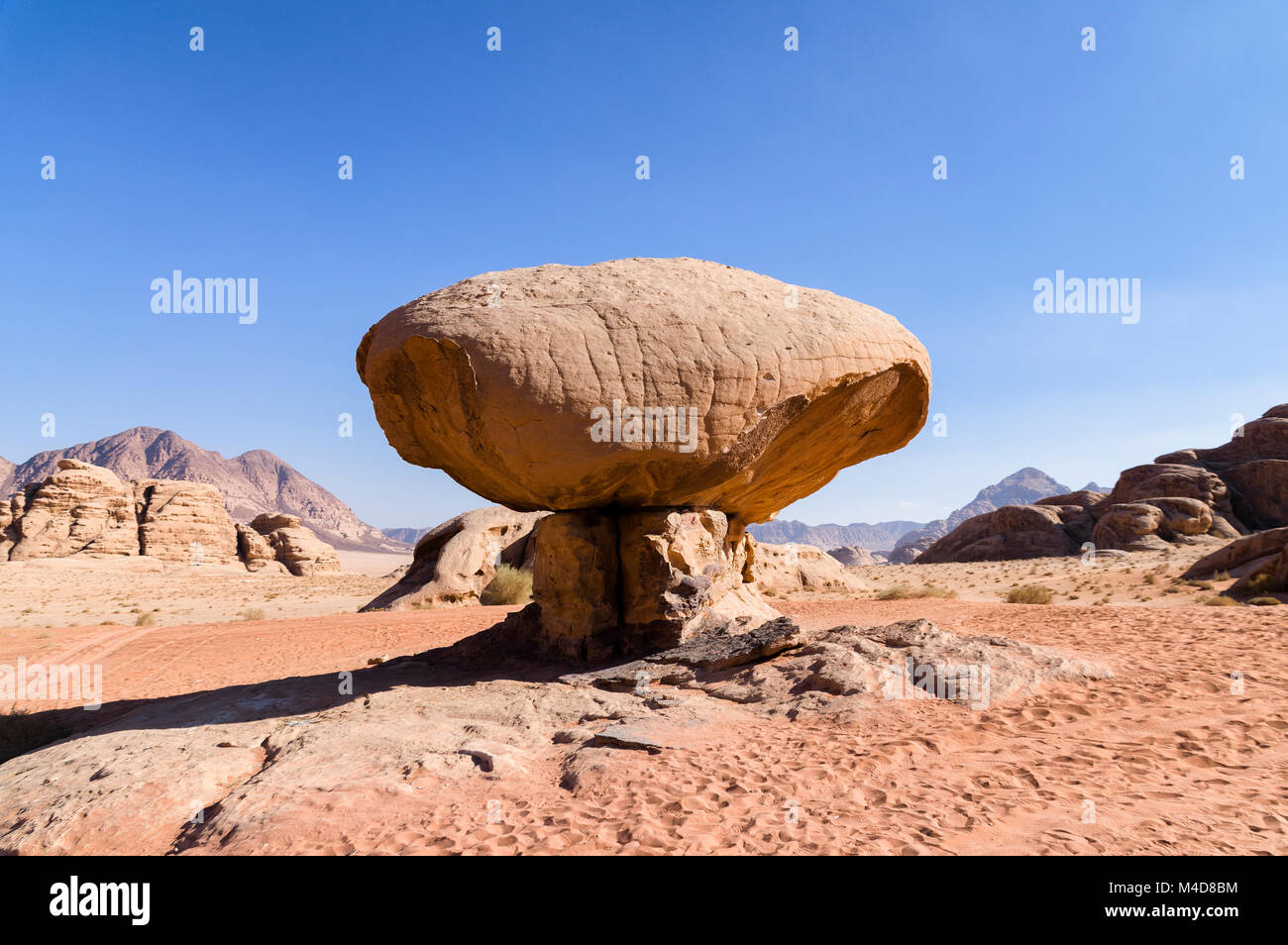 Desert life in Jordan Stock Photo - Alamy