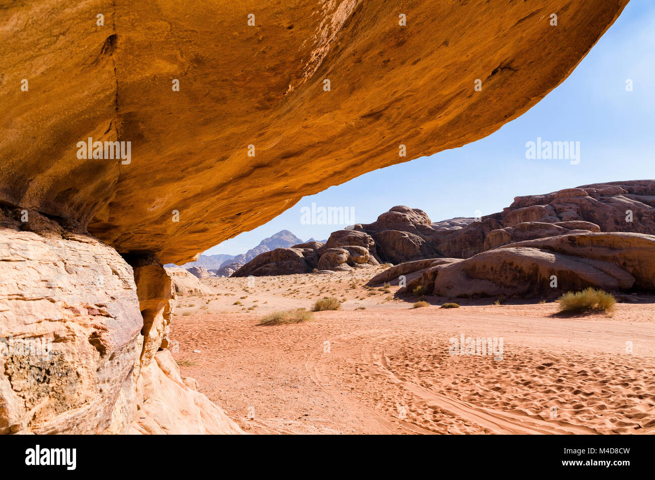 Desert life in Jordan Stock Photo - Alamy
