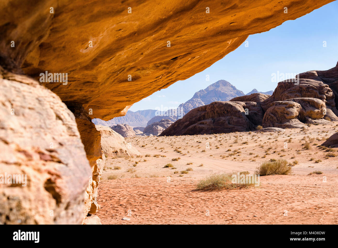 Desert life in Jordan Stock Photo - Alamy