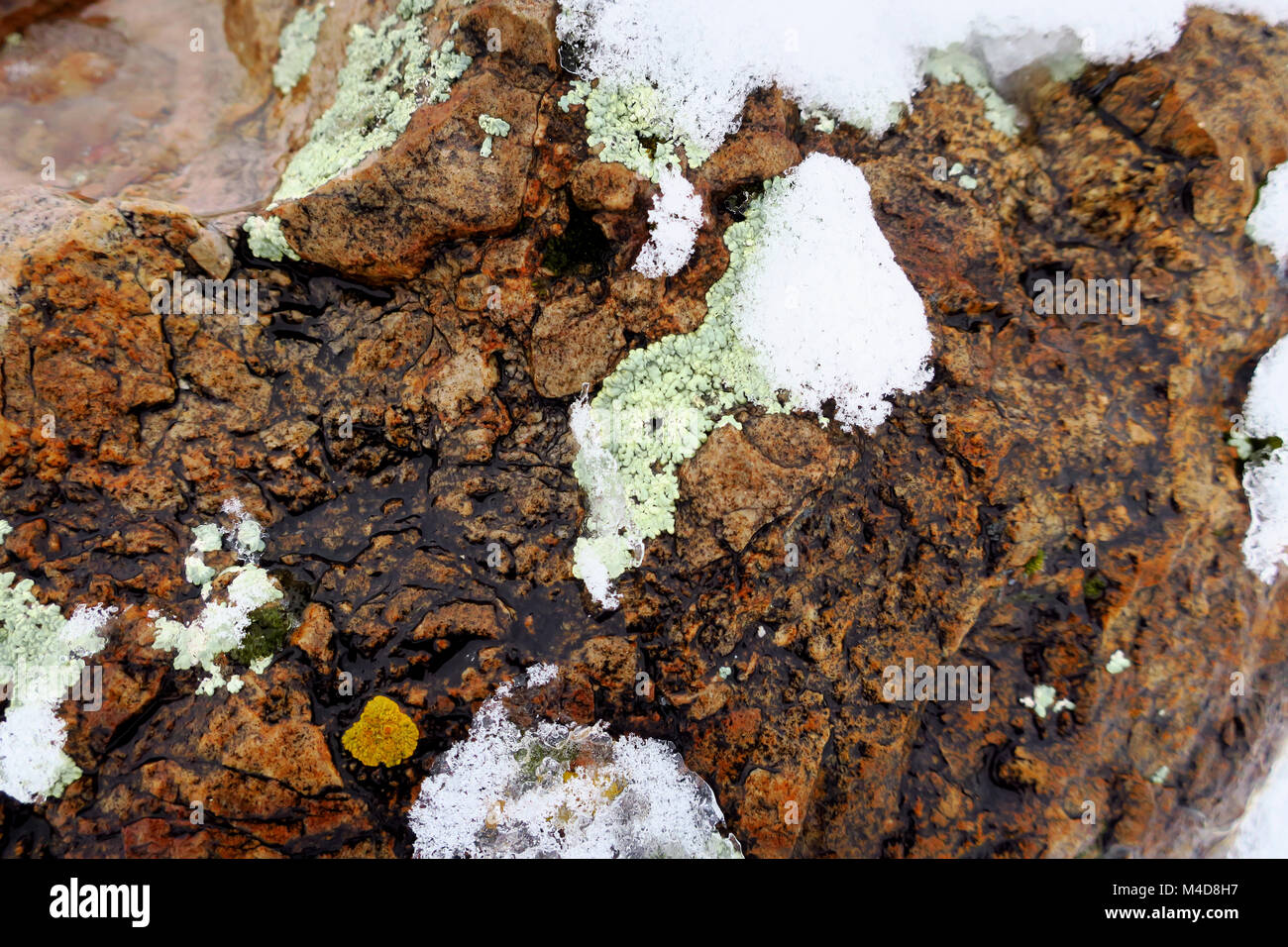 Beautiful green growing mountains snowy hi-res stock photography and ...