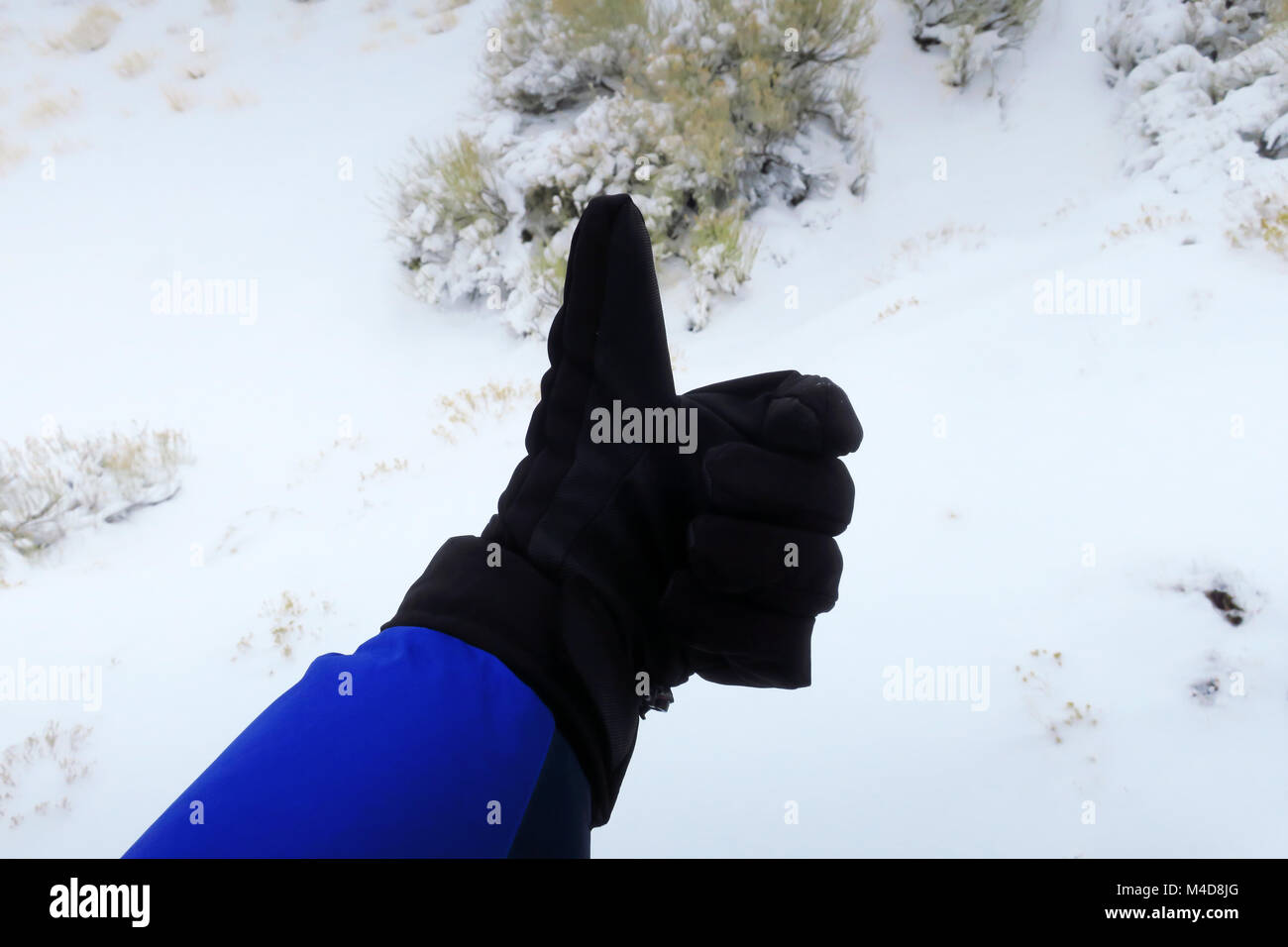 Gloved hand and pointing hi-res stock photography and images - Alamy