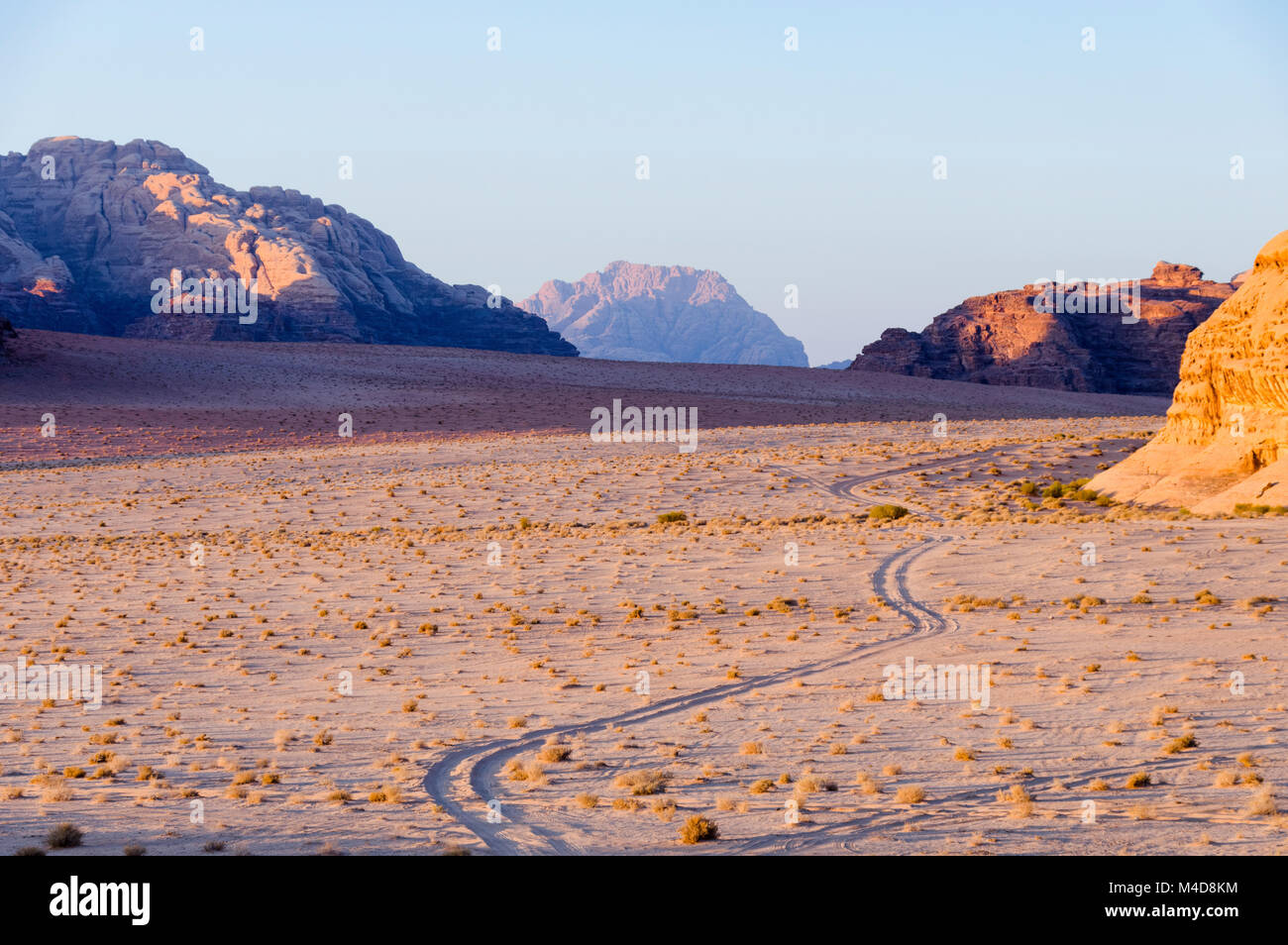 Desert life in Jordan Stock Photo - Alamy