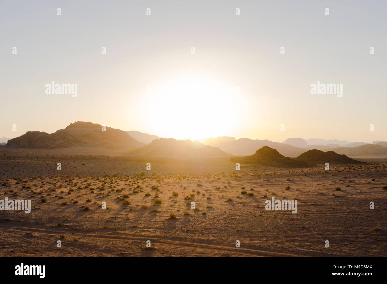 Desert life in Jordan Stock Photo - Alamy