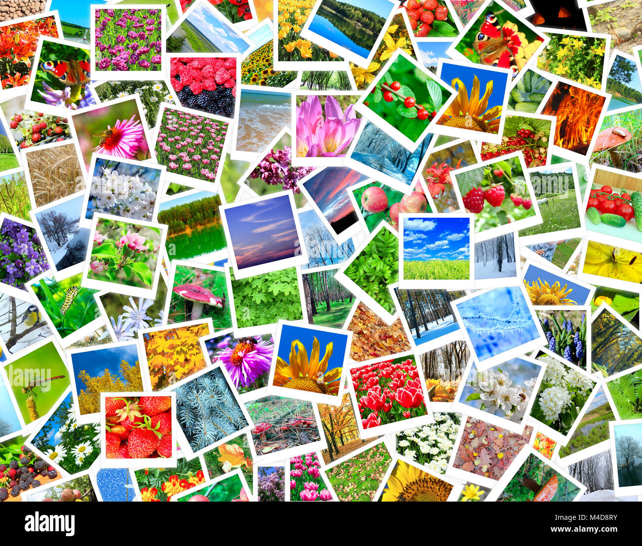 A lot of different beautiful nature photos Stock Photo - Alamy