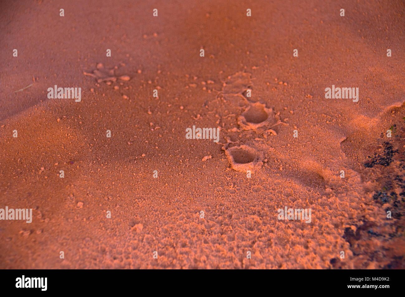 Soil nevada hi-res stock photography and images - Alamy