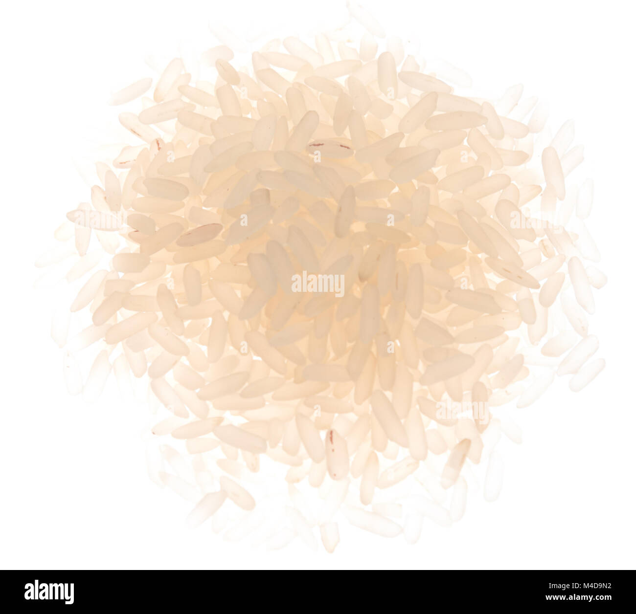 Rice crop Cut Out Stock Images & Pictures - Alamy