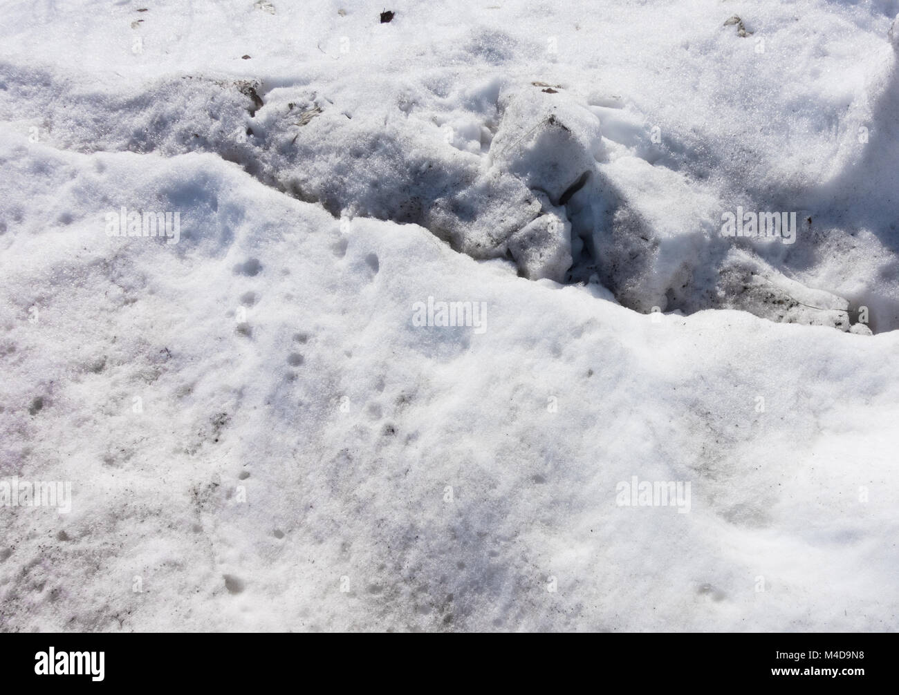 Dirty white patch hi-res stock photography and images - Alamy