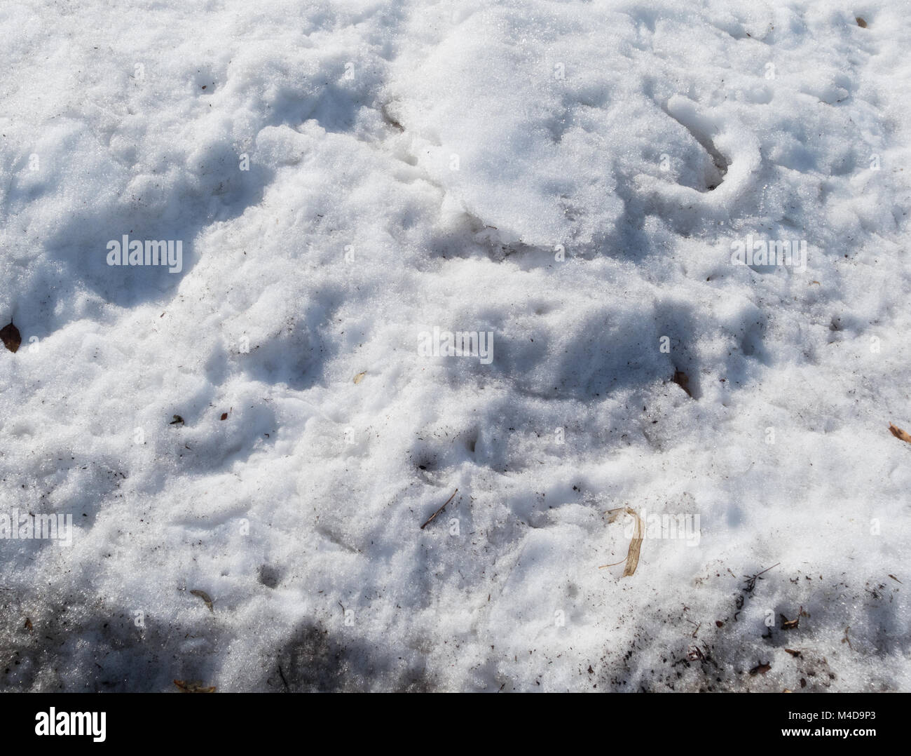 Thawed surface hi-res stock photography and images - Alamy