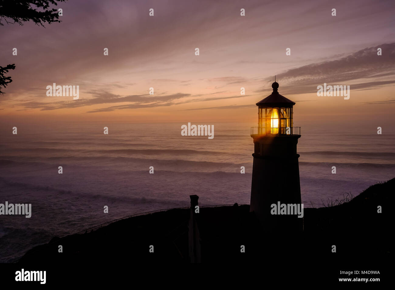Heceta Head Lighthouse at sunset, built in 1892 Stock Photo - Alamy