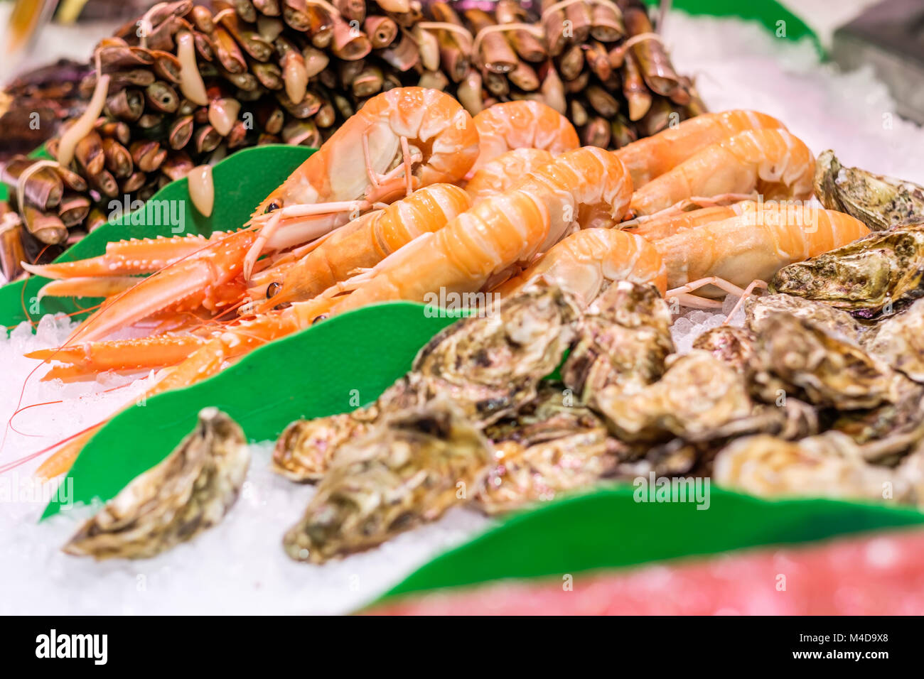 Razor clams spain hi-res stock photography and images - Alamy