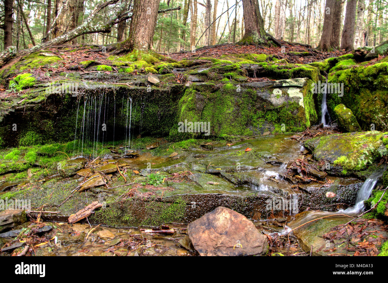 A woodland stream with water flowing over rocks in the spring Stock ...