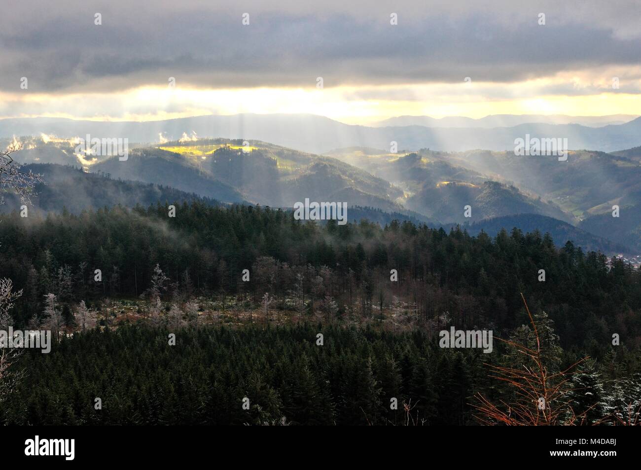 Laufbachtal hi-res stock photography and images - Alamy