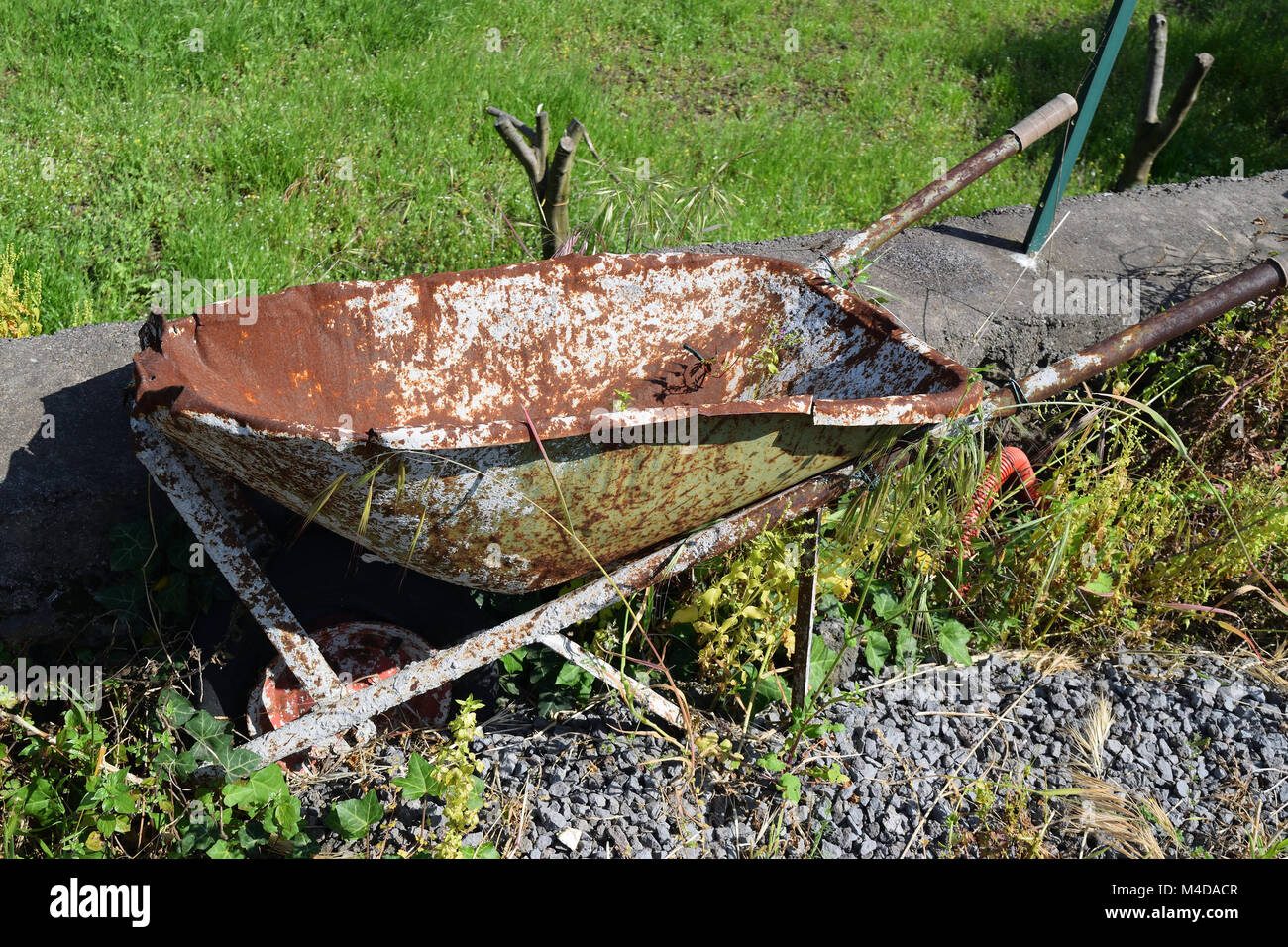 old broken and rusty wheelbarrow abandoned on a lawn Stock Photo - Alamy