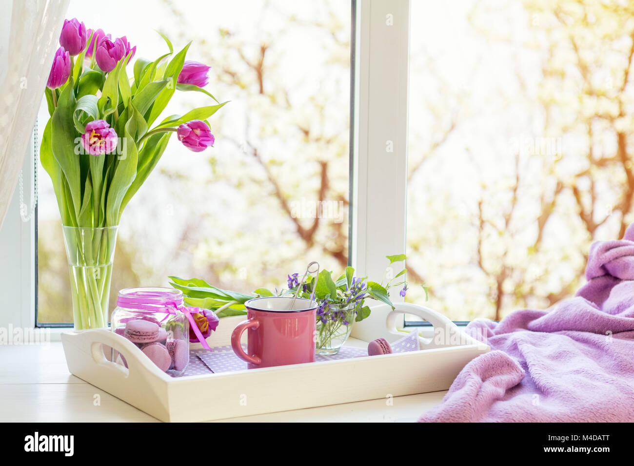 Violet sunshine cozy home concept Stock Photo - Alamy