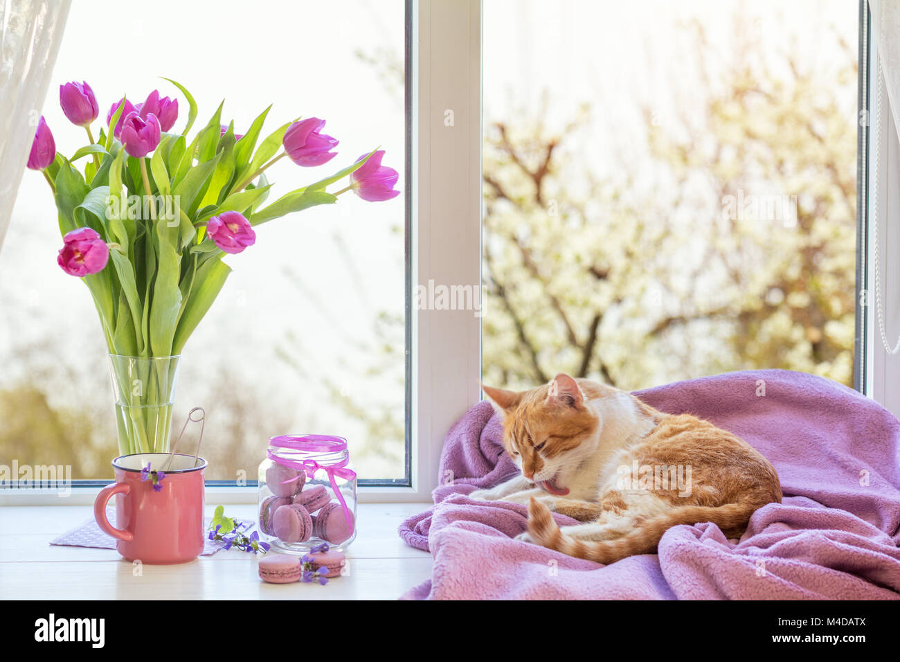 Concept cozy hi-res stock photography and images - Alamy