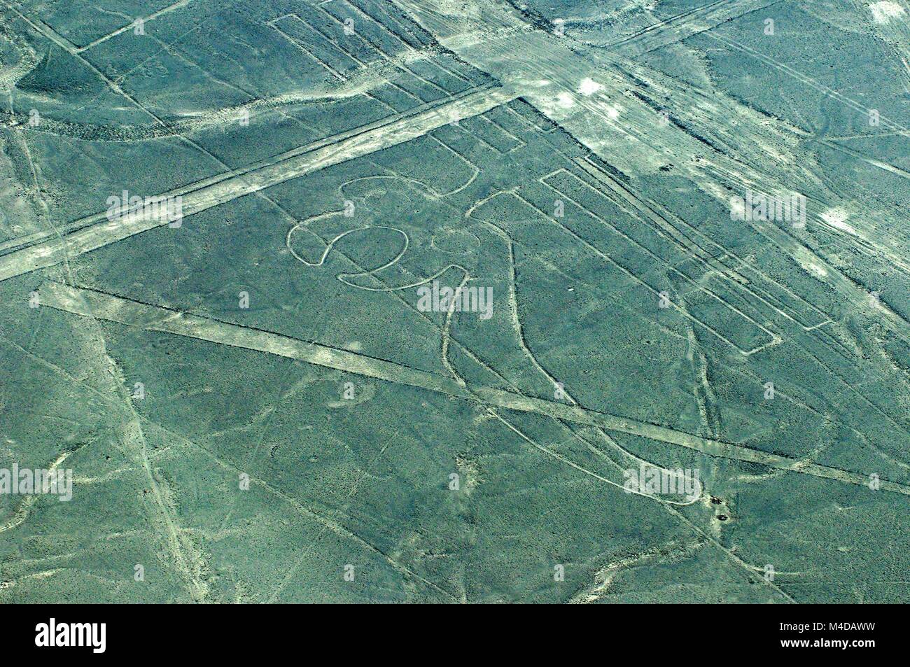 Nazca lines seen from above Peru Stock Photo - Alamy