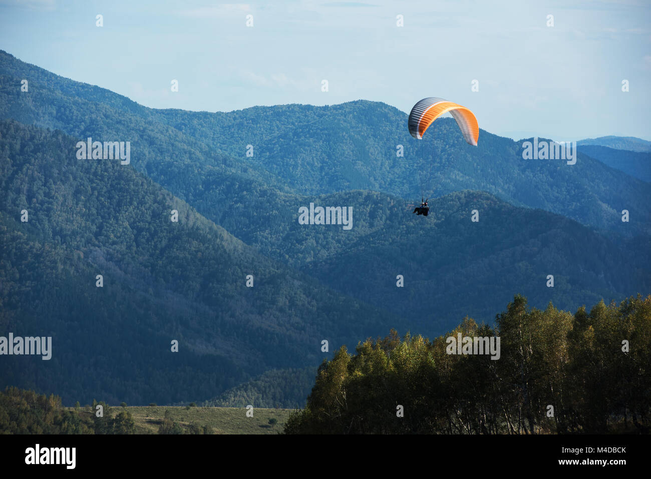 Paragliding in mountains Stock Photo - Alamy