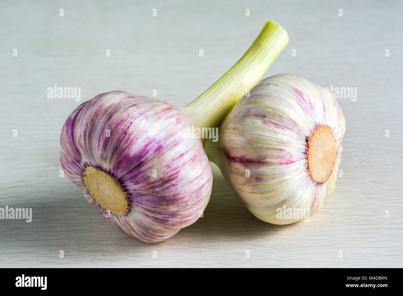 Garlic tooth hi-res stock photography and images - Alamy