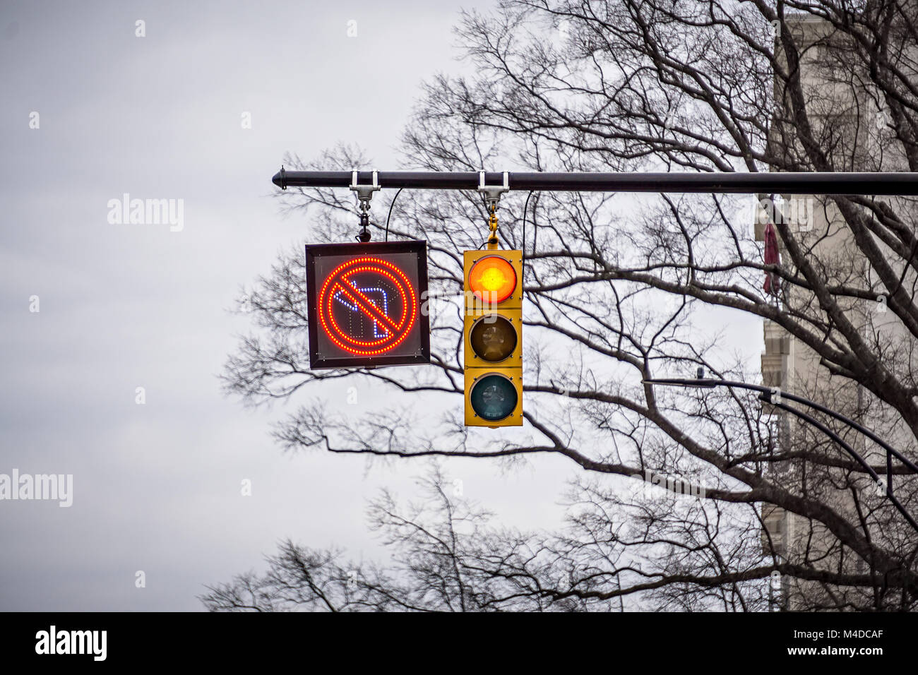 Stop sign trees street hi-res stock photography and images - Alamy