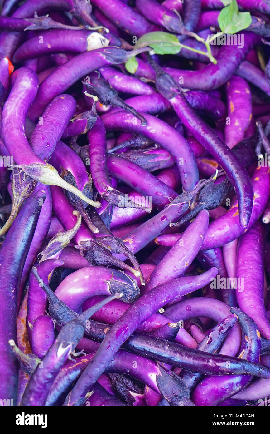 Long eggplant hi-res stock photography and images - Alamy