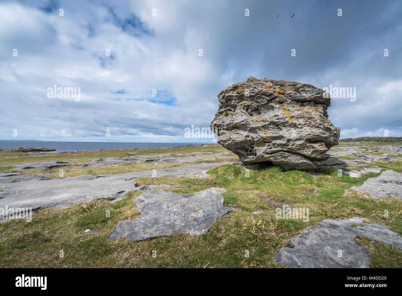 Glacial erratic boulder Stock Photo - Alamy