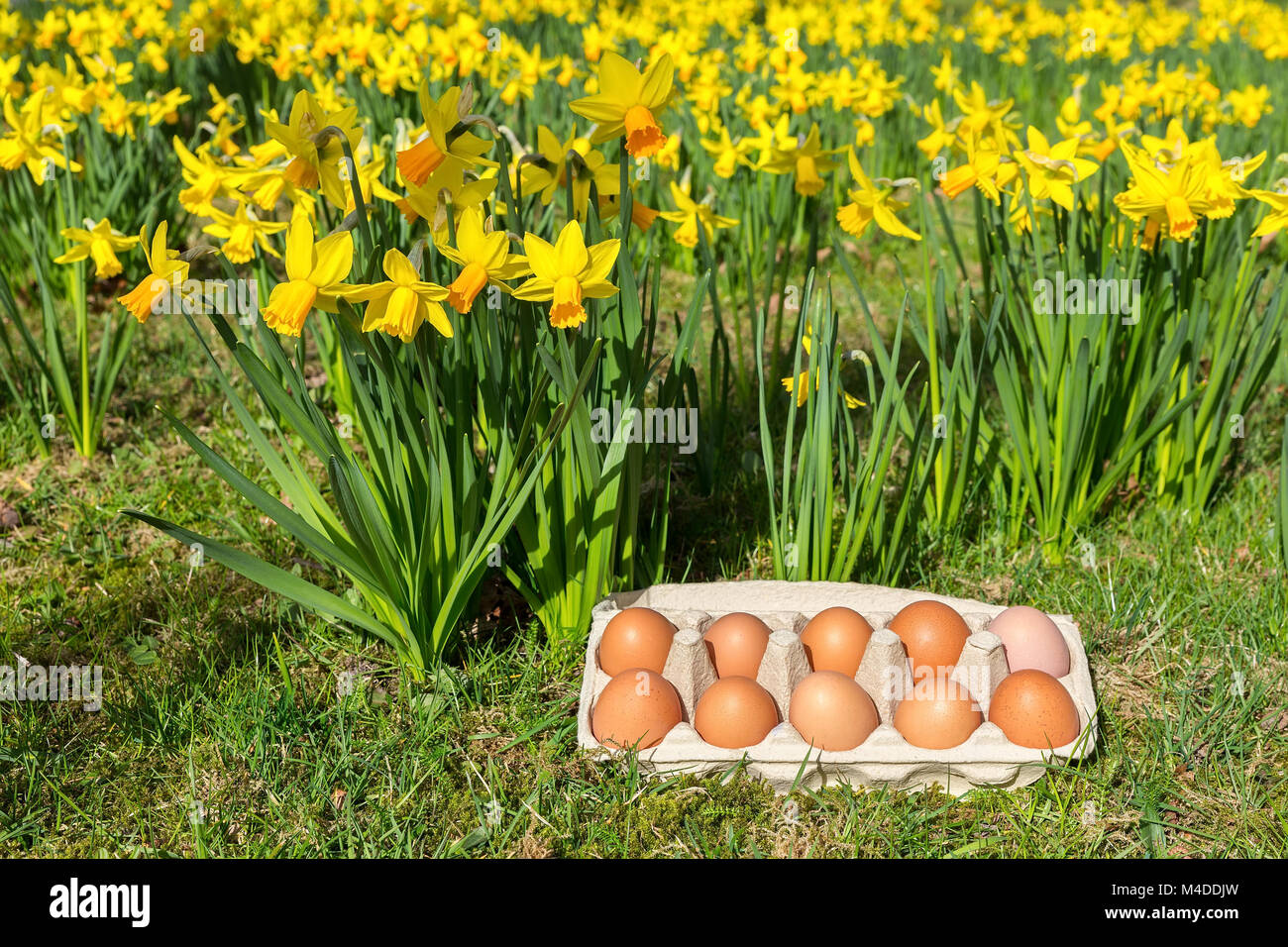 Yellow food box hi-res stock photography and images - Alamy