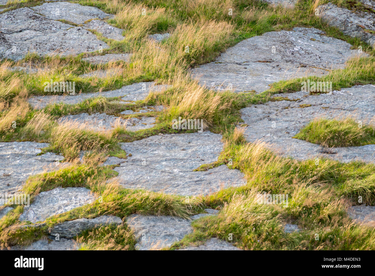 Grey rocks hi-res stock photography and images - Alamy