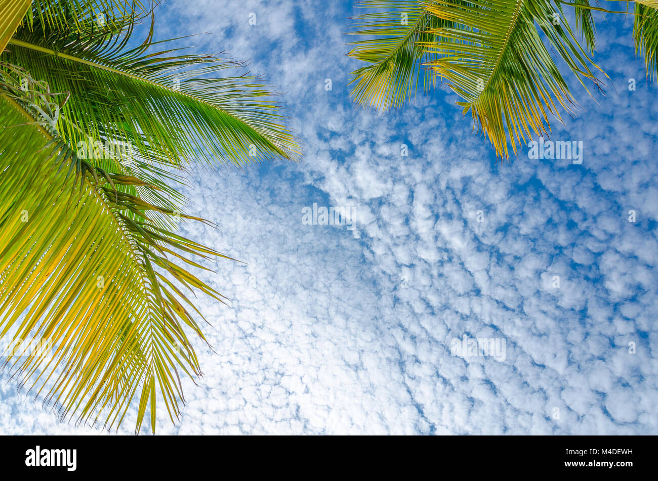 Sky view with white clouds from eagle Beach, Aruba Stock Photo - Alamy