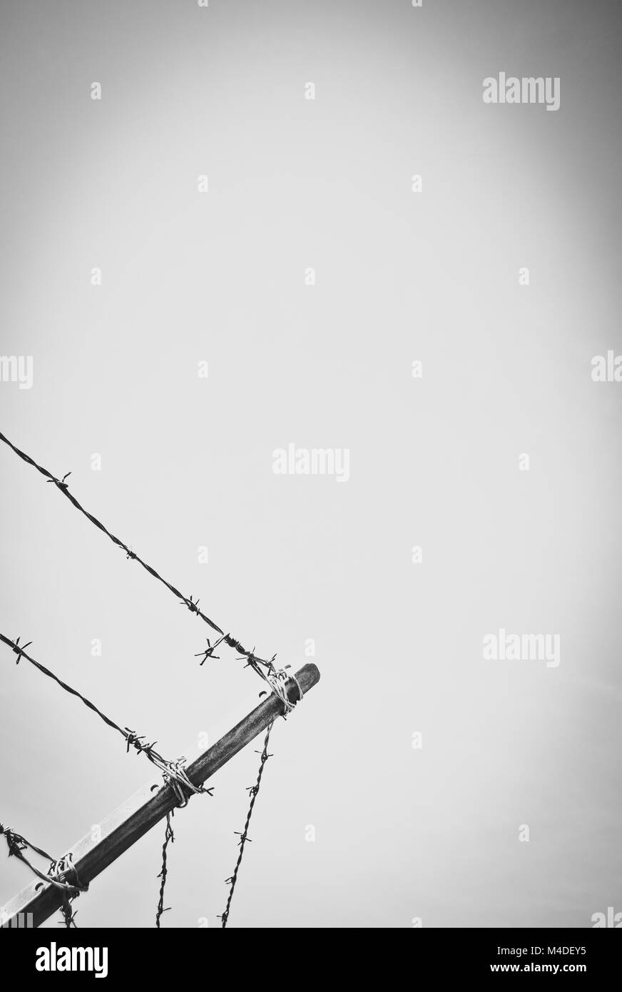 Security crime concept white Black and White Stock Photos & Images - Alamy