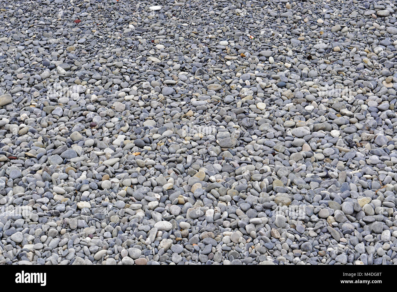 Pebbles at beach Stock Photo - Alamy