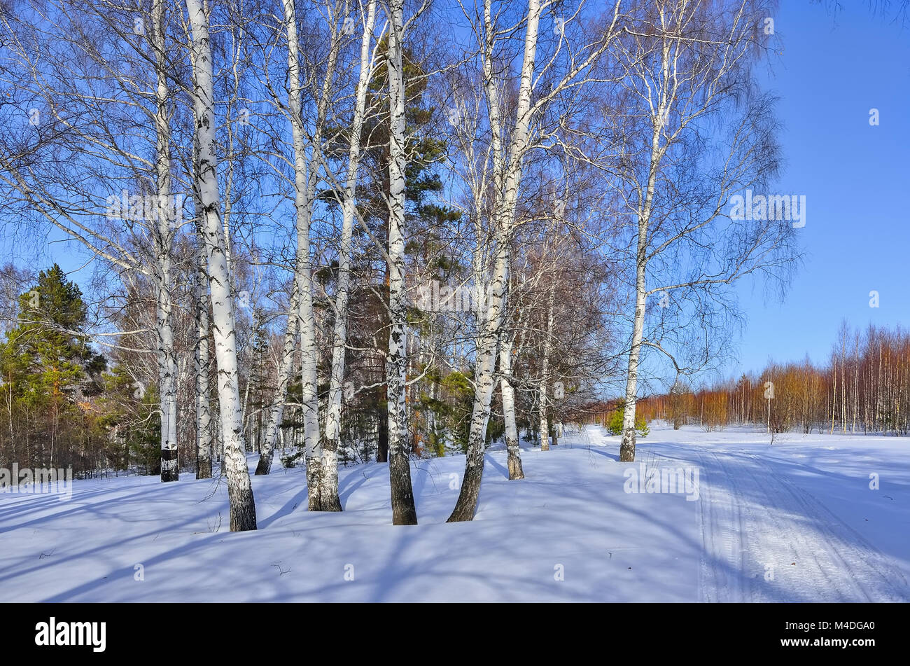 Early spring day hi-res stock photography and images - Alamy