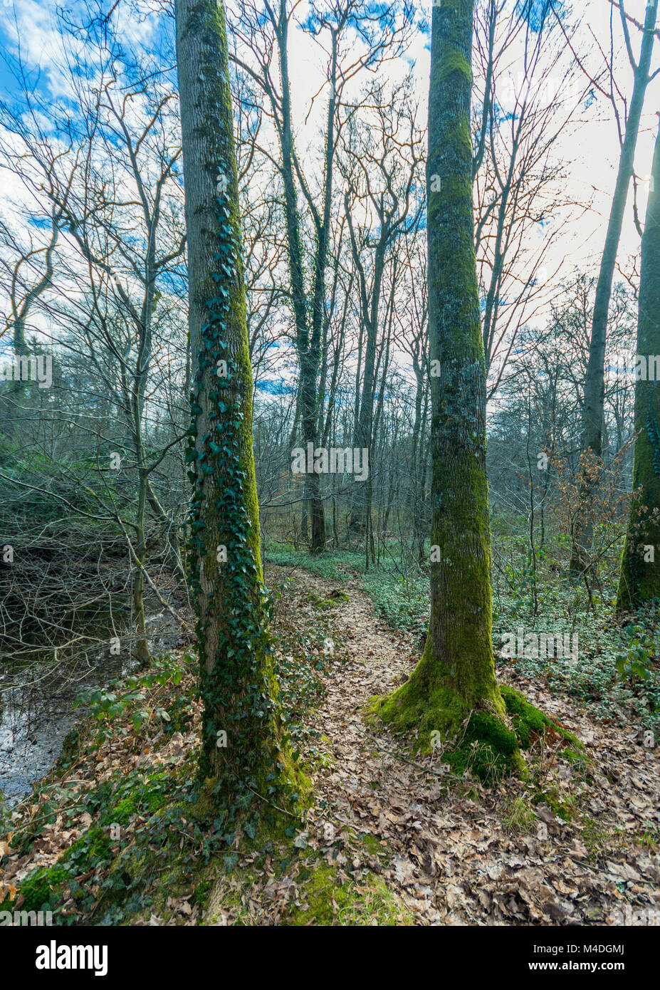 Outside footpath hi-res stock photography and images - Alamy