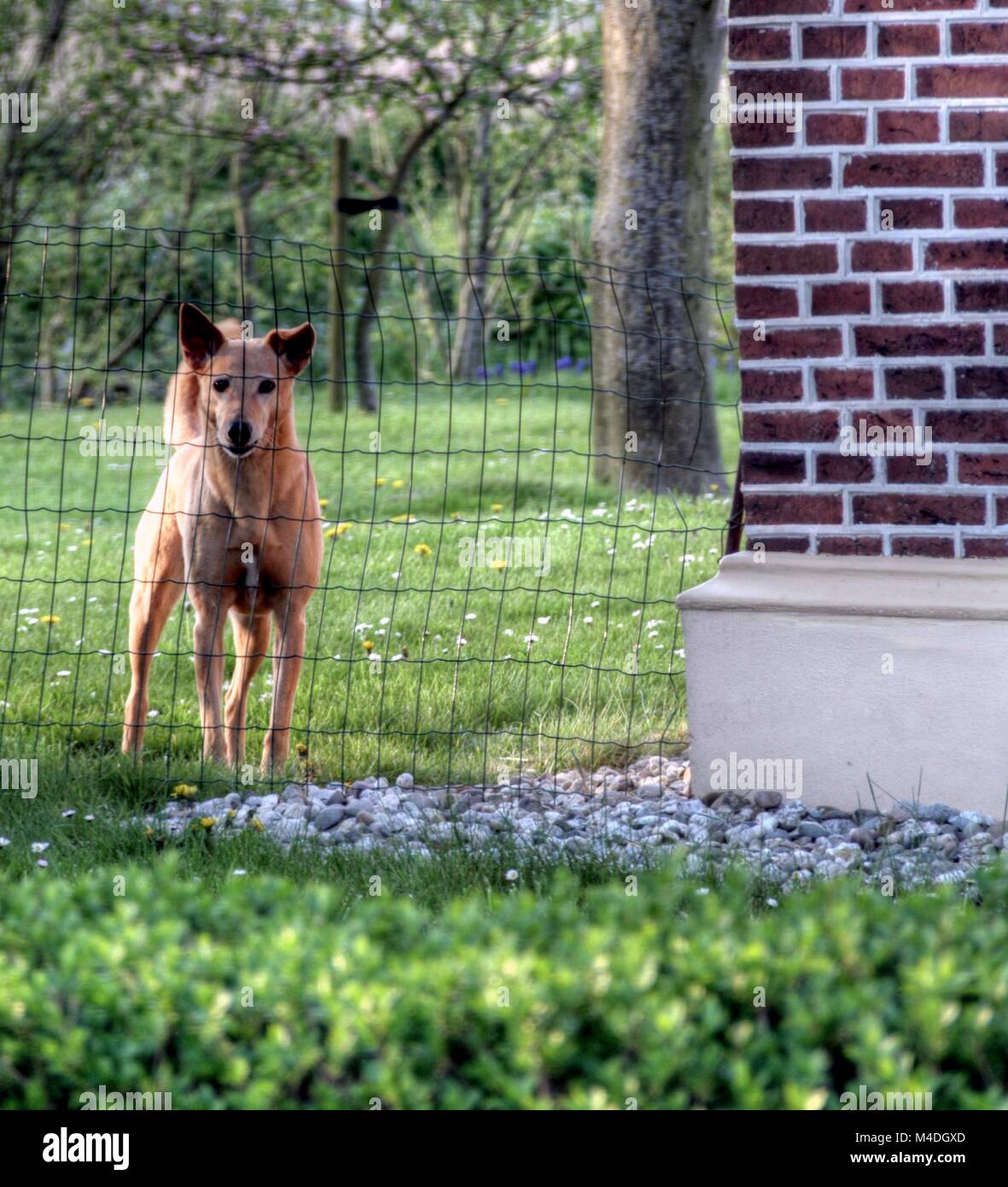 Sunny day may hi-res stock photography and images - Alamy