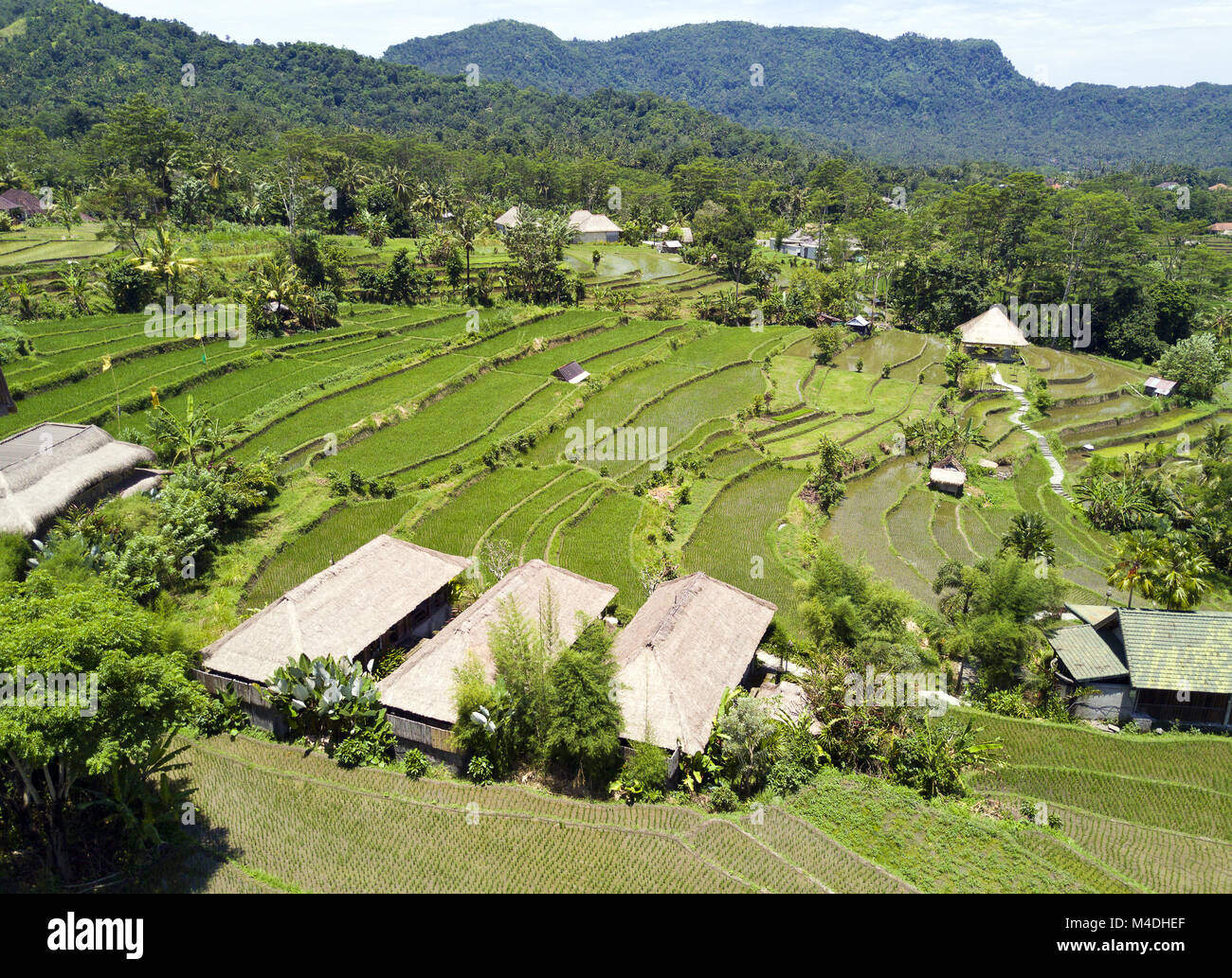 Aerial view of rice terraces hi-res stock photography and images - Alamy