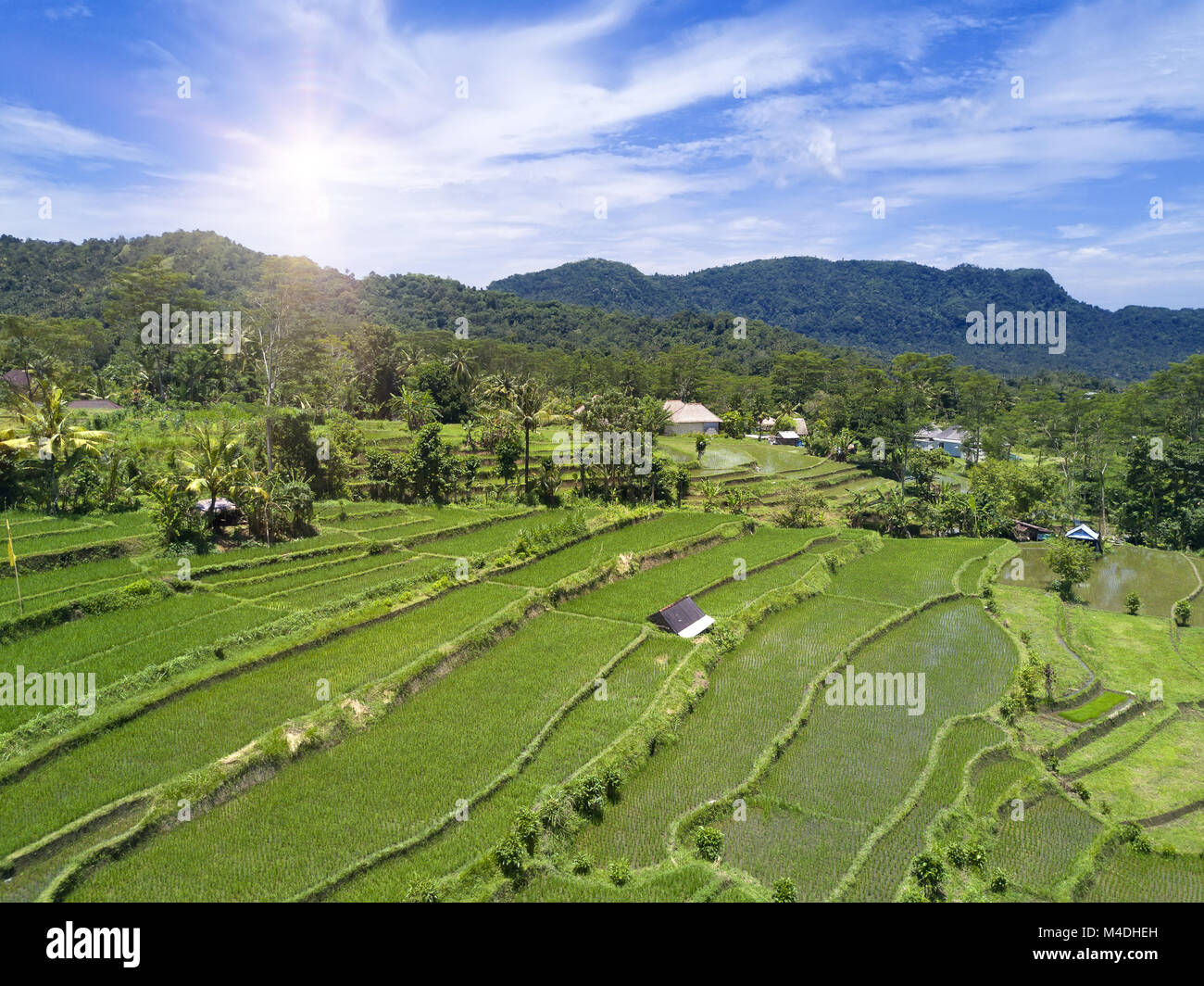 aerial view on rice terraces Stock Photo - Alamy