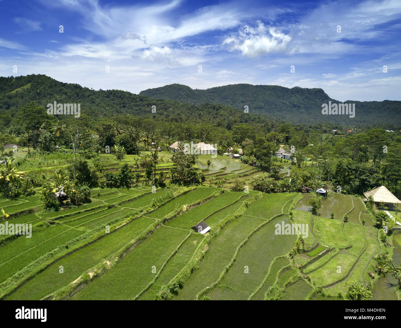 Aerial view lush terrace hi-res stock photography and images - Alamy