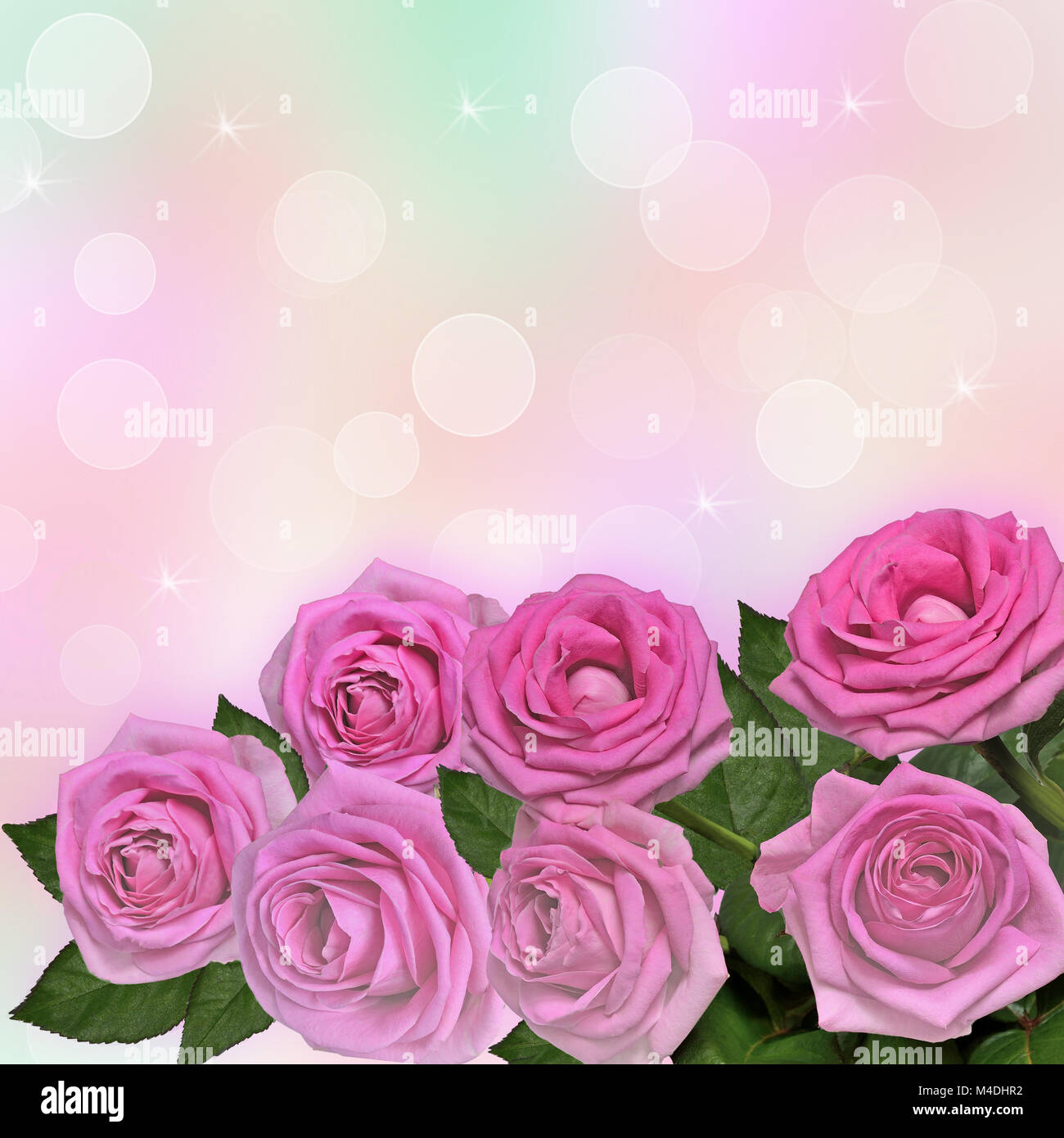 Pink roses greeting card Stock Photo - Alamy